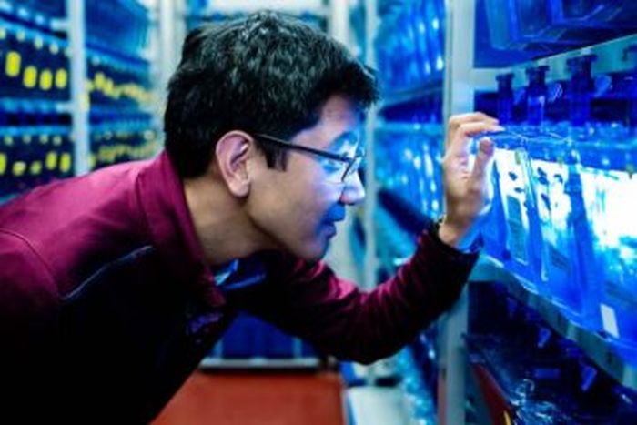 Selidik Lempeng Tembaga Mengubah Karbon Dioksida Menjadi Bahan Bakar ...