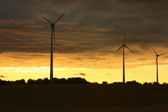 5 Kelebihan Sumber Energi Angin bagi Kehidupan Manusia, Apa Saja ...