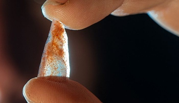 Busur Dipakai di Eropa 40.000 Tahun Lebih Awal Dari yang Diperkirakan ...