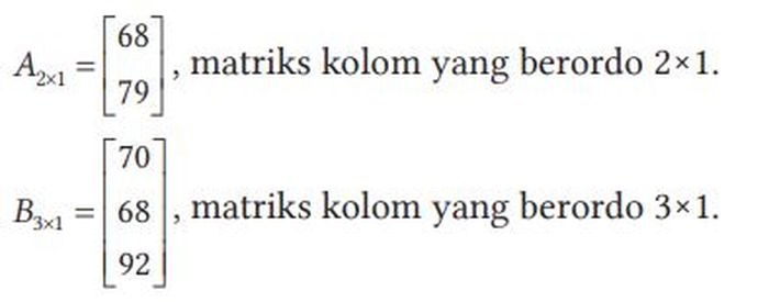 Mengenal Jenis-jenis Matriks, Bab 3 Matematika Tingkat Lanjut Kelas XI ...