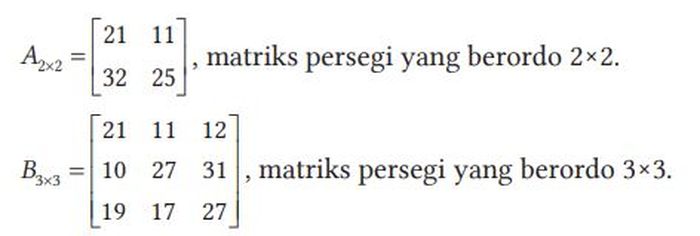 Mengenal Jenis-jenis Matriks, Bab 3 Matematika Tingkat Lanjut Kelas XI ...