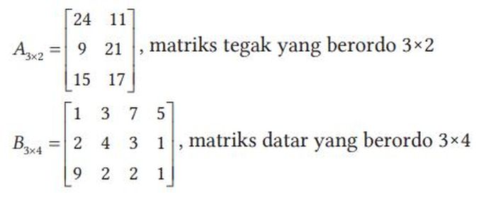 Mengenal Jenis-jenis Matriks, Bab 3 Matematika Tingkat Lanjut Kelas XI ...