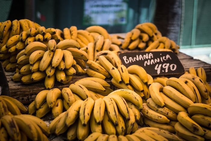 15 Fakta Unik Buah Pisang yang Sudah Ditemukan Sejak 8.000 Tahun ...