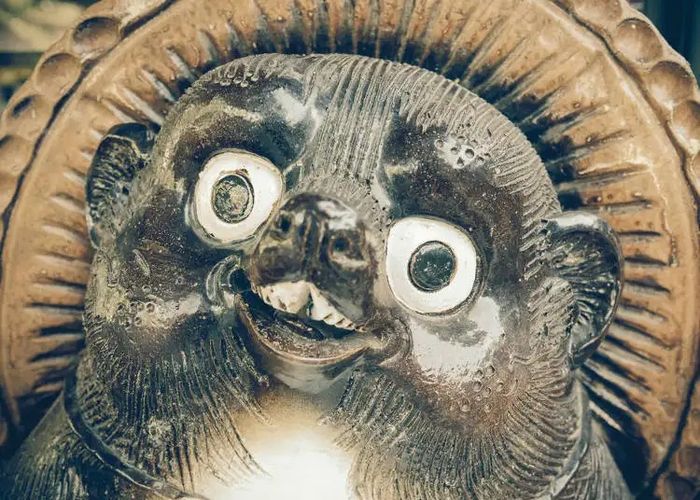 Inilah Tanuki, Anjing Rakun Doyan Minum Sake dalam Mitologi Jepang ...