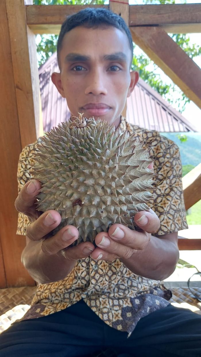 Memuliakan Durian dan Kopi, Hasil Alam Lestari dari Kabupaten Sigi - Halaman 2 - National Geographic