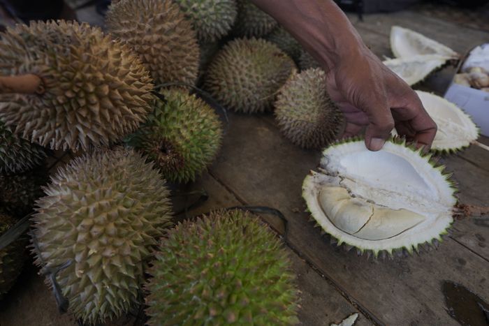 Memuliakan Durian dan Kopi, Hasil Alam Lestari dari Kabupaten Sigi - Halaman 2 - National Geographic