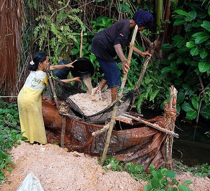 Bagaimana Sagu Menjadi Makanan Pokok Orang Indonesia Timur? # ...