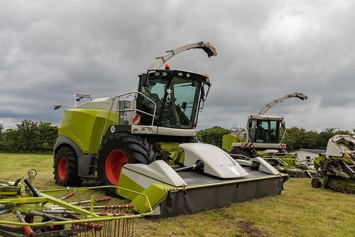 Berperan Penting dalam Sektor Ekonomi, Ini 5 Kelebihan Indonesia ...