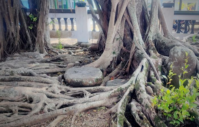 Perjanjian Giyanti dan Terbelahnya Mataram dalam Sejarah VOC - National ...