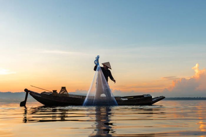 Ekosistem Pesisir Indonesia Adalah Bagian Penting Restorasi Dunia ...