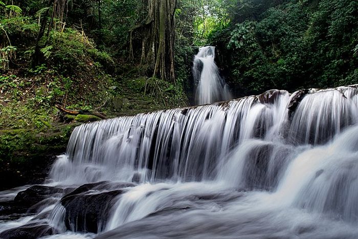 15 Fakta Menarik Taman Nasional Gunung Ciremai yang Dulunya Berupa Hutan Lindung - Halaman 2 - Kids