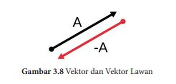 Terminologi, Notasi, dan Jenis Vektor, Materi Bab 3 Matematika Kelas X ...