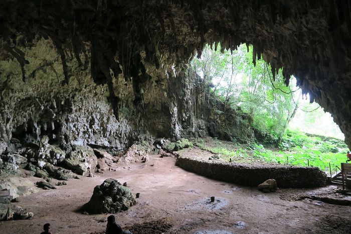 Wawasan Baru dari Liang Bua, Tempat Homo floresiensis Ditemukan ...