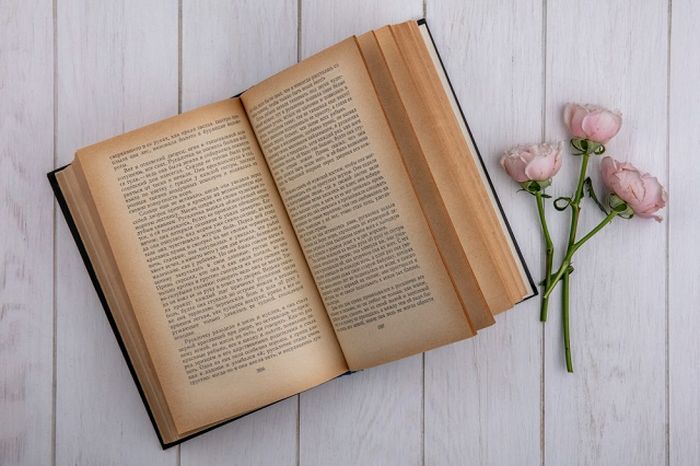 4 Perbedaan Paragraf Deduktif dan Deskriptif Dilihat dari ...