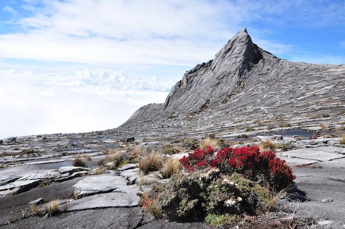 Dekat dengan Indonesia, Ketahui 5 Keistimewaan Gunung Kinabalu - Semua ...
