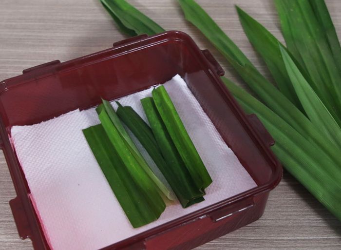 Tak Selamanya Baik, Ini Efek Samping Konsumsi Daun Pandan untuk Tubuh ...