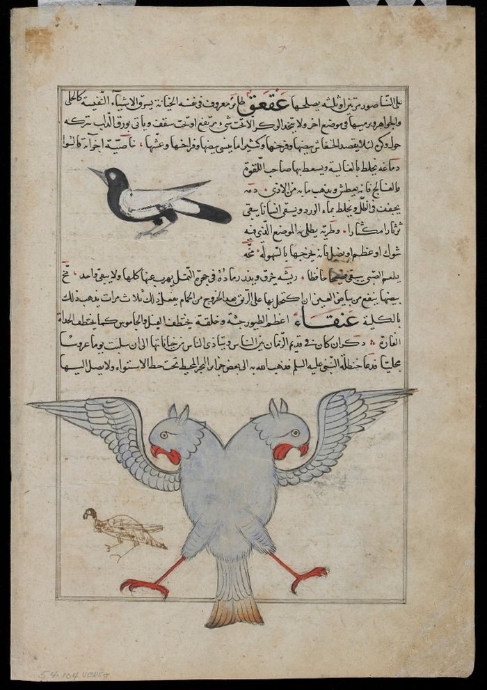 Burung Anqa, Burung Foniks dari Mitologi Timur Tengah Abad Pertengahan ...