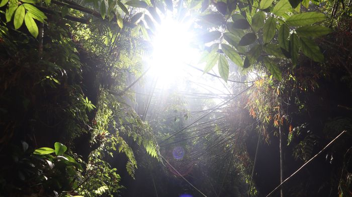 Cerita Lanjutan dari Bali: Berziarah ke Desa Taro, Tanah Pusat Semesta ...