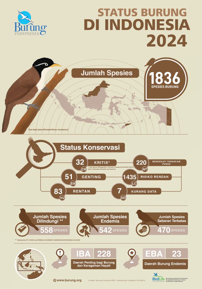 Bertambahnya Keragaman Spesies Burung di Indonesia - National Geographic
