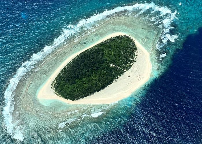 Kisah Penyelamatan Tiga Pelaut di Pulau Terpencil Samudra Pasifik ...