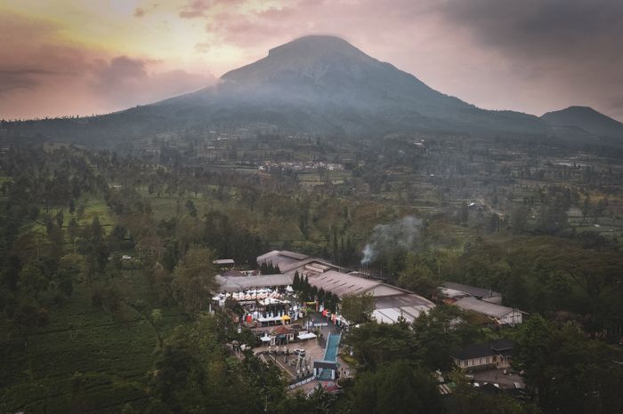 Dieng Caldera Race 2024 Resmi Digelar di Perkebunan Teh Tambi ...