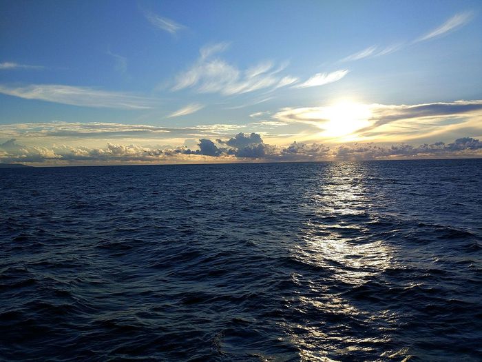 Ekspedisi BRIN dan OceanX Petakan Kekayaan Alam Laut Dalam Indonesia ...