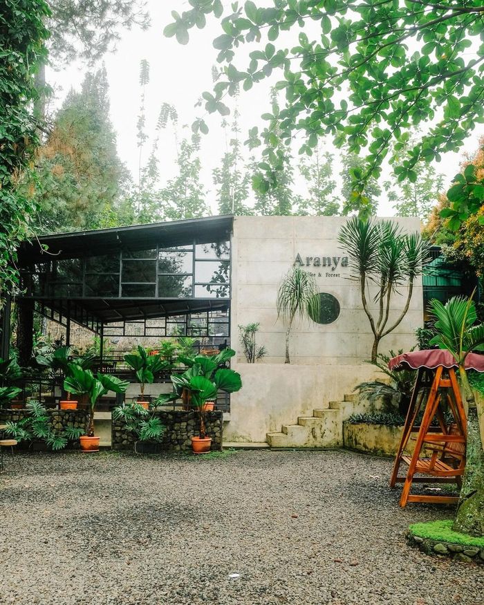 Rekomendasi Coffee Shop dengan Best View Hutan Hingga Gunung di Bogor ...