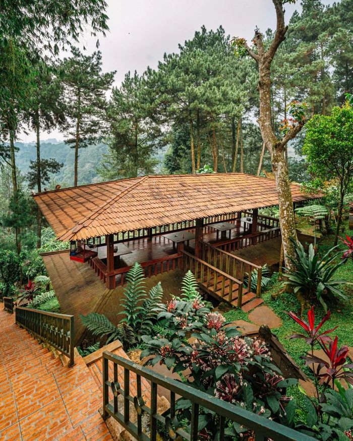 Rekomendasi Coffee Shop dengan Best View Hutan Hingga Gunung di Bogor ...
