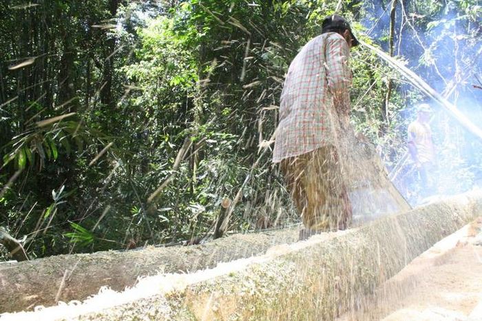 Eksploitasi Hewan Oleh Manusia Sebabkan Kita Rentan Terkena Virus ...