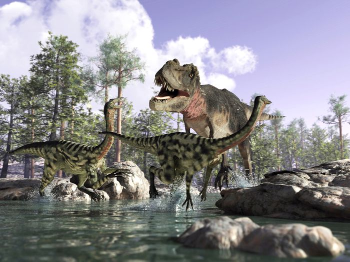 Memiliki Rahang Besar dan Gigi Tajam, Seberapa Kuat Gigitan T-Rex ... Memiliki Rahang Besar dan Gigi Tajam, Seberapa Kuat Gigitan T-Rex ...