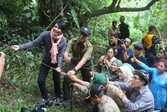 Yang Perlu Diketahui Saat Berargumen tentang Pemeliharaan Satwa Liar - National Geographic