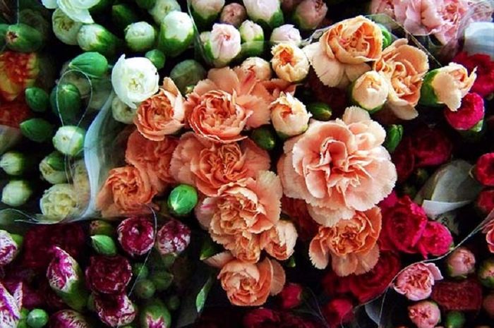 Baca Kepribadian Moms Lewat Jenis Bunga yang Mewakili Bulan Kelahiran ...