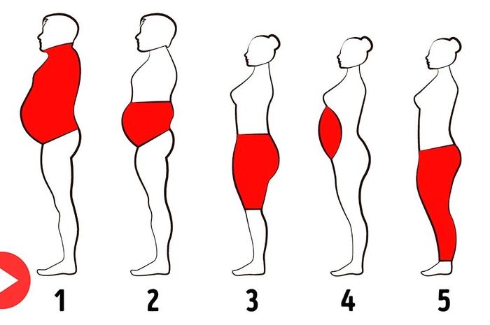 Inilah 5 Jenis Lemak pada Tubuh, Berikut Cara Menyingkirkannya - Nakita