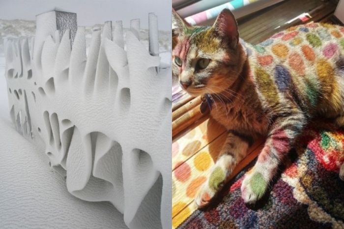(Foto) Karena Alam, 7 Obyek Ini Jadi Karya Seni yang Menakjubkan - Intisari