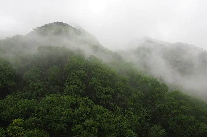 Tips Mendaki Gunung Untuk Pemula – Welcome To My Website