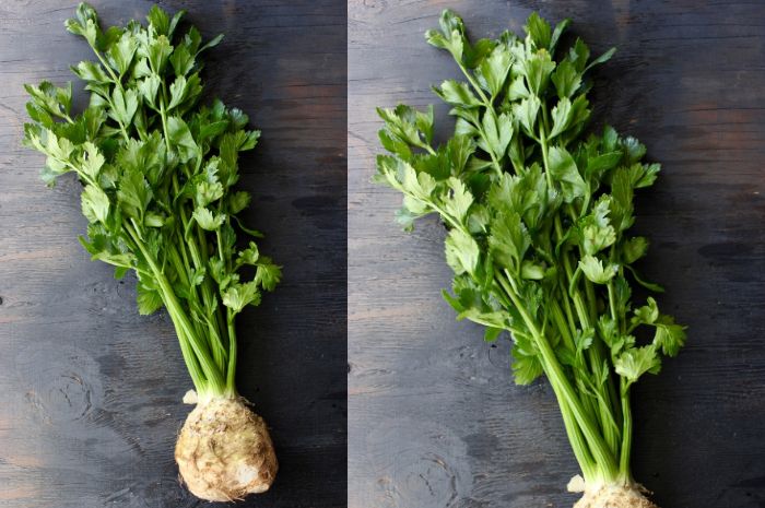 Selain Memiliki Aroma yang Khas, Berikut Deretan Manfaat Daun Sop yang ...