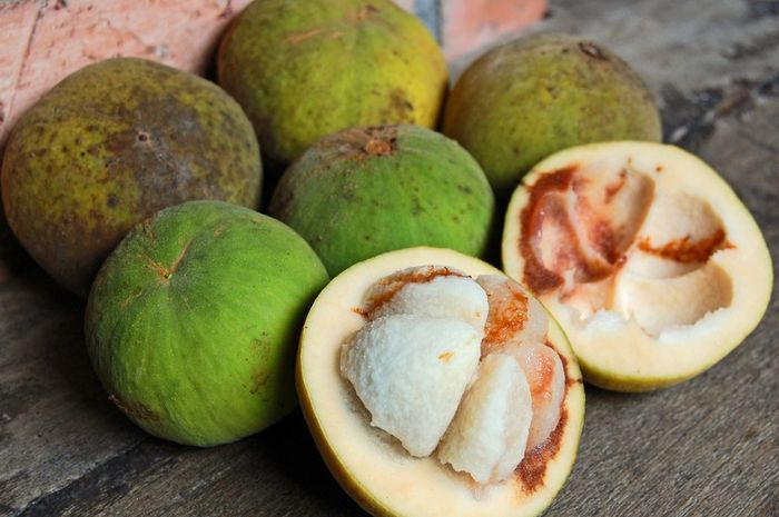 Tanaman Kecapi, Tanaman Khas Betawi yang Banyak Manfaat dan Langka - Bobo