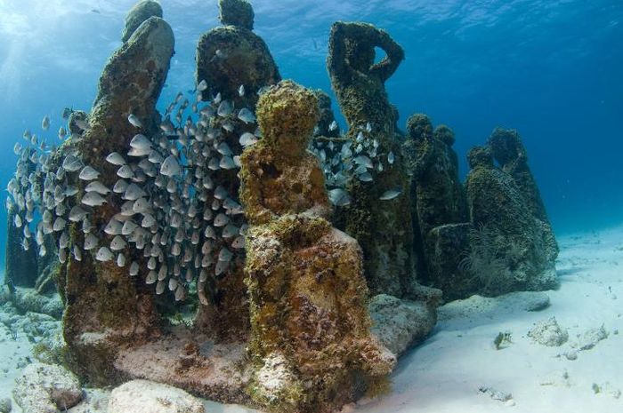 Museum Bawah Laut Pertama di Amerika Serikat Dibuka Akhir Juni ...