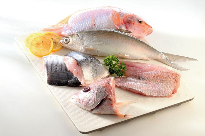 Jangan Sampai Ketipu Pedagang Nakal, Begini Cara Membedakan Ikan Segar ...