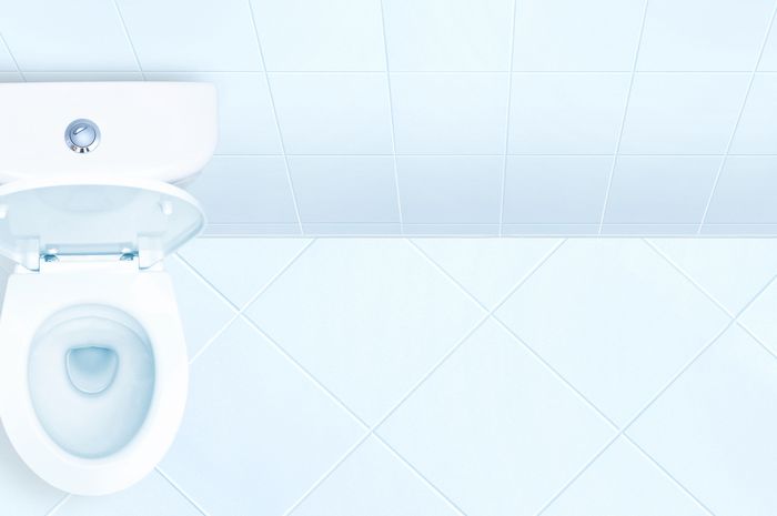 Tak Hanya dari Tekstur, Warna Feses Bisa Tunjukkan Masalah Kesehatan ...