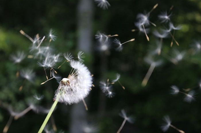 Bagaimana Angin Bisa Berembus? Ini Penjelasan Ilmiah Bagaimana Angin ...