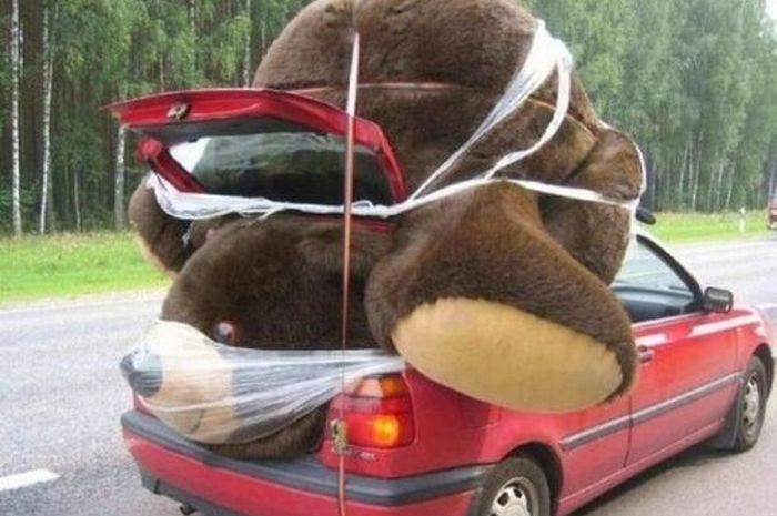 10 Foto 'Absurd' yang Bisa Bikin Anda Geleng-geleng Setelah Melihatnya ...