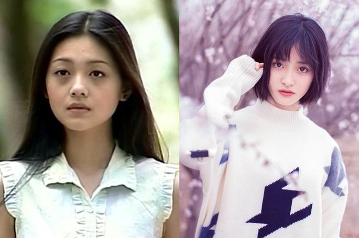 Begini Perbedaan Gaya Busana Shan Cai Meteor Garden 2001 dan 2018 - Nova