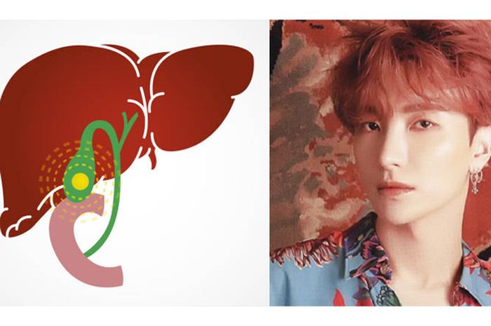 Jangan Abaikan Gejala Radang Empedu Seperti Dialami Leeteuk 'Suju ...