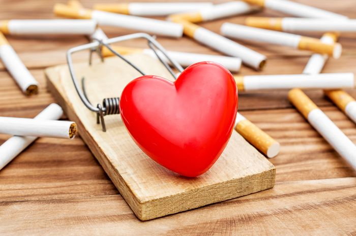 Bagaimana Cara Rokok Secara Diam-Diam Merusak Kesehatan Jantung ...