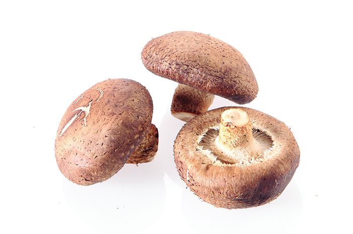 Supaya Sukses Membuat Kaldu Jamur Sendiri, Cuma Butuh 2 Langkah Saja ...