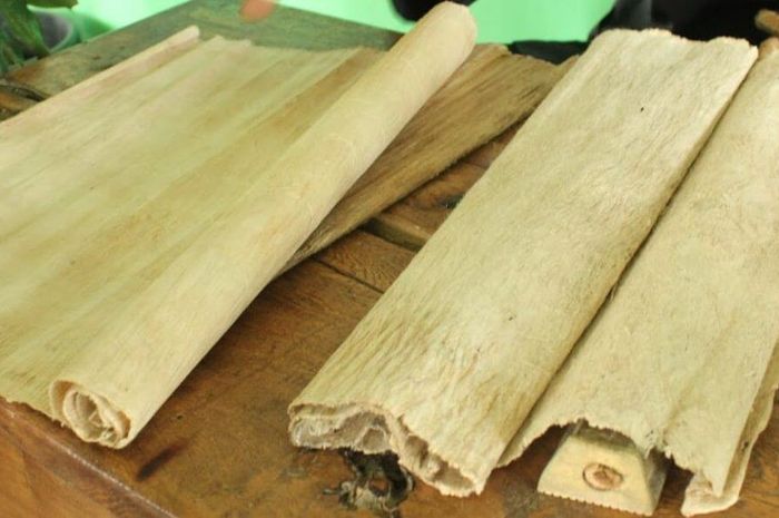 Daluang, Kertas Khas Indonesia dari Pohon Mulberry Sejak Abad Ke-9 - Bobo