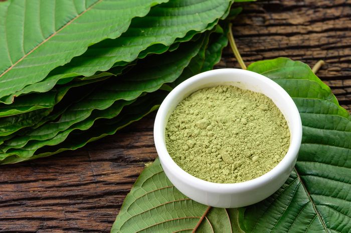 Kratom , Obat Herbal Yang Sering Disalahgunakan Oleh Pecandu - National ...