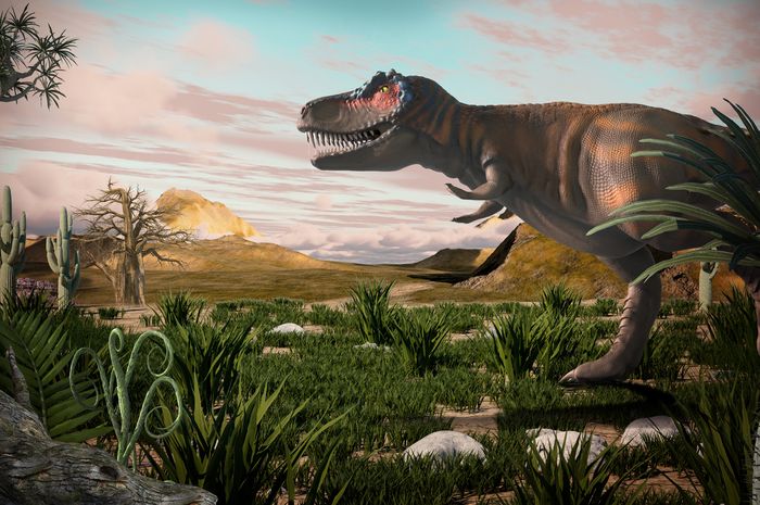 Inilah Cara Bagaimana Ilmuwan Menamai Dinosaurus Temuan Mereka ...