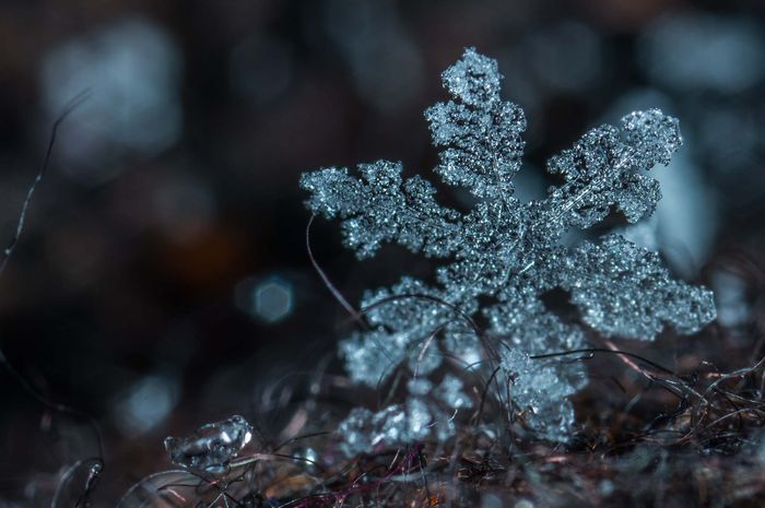 Beginilah Bentuk Salju Saat Dilihat Menggunakan Alat Pembesar - Bobo